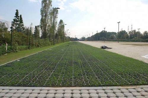 Rasengitter RG24 aus Kunststoff zur direkten Verlegung ohne Unterbau