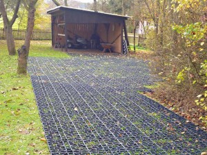 Rasengitter RG24 aus Kunststoff zur direkten Verlegung ohne Unterbau